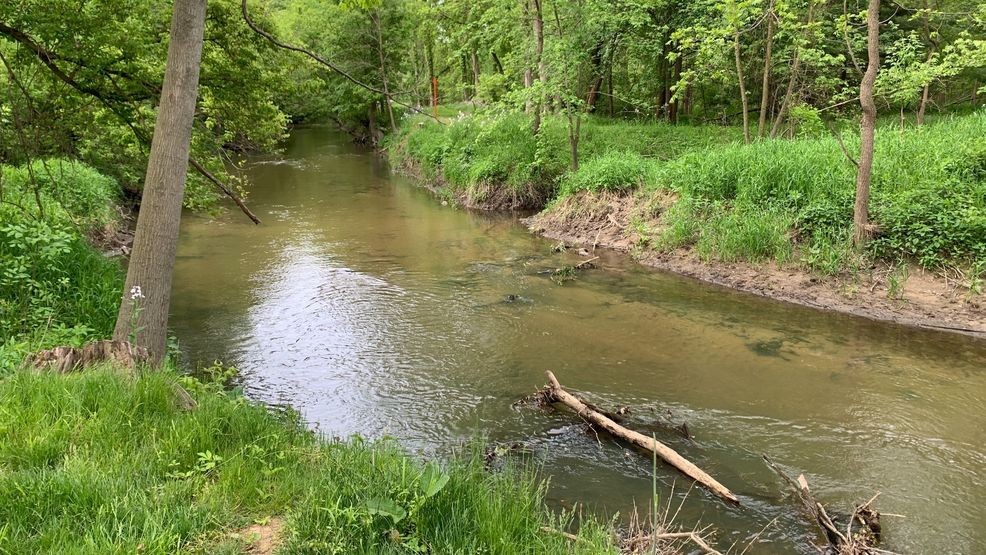 New pedestrian bridge project connecting parks throughout the Village ...