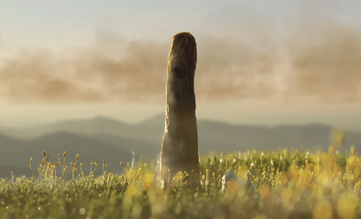Scientists discover 410-million-year-old giant structures that don’t ...