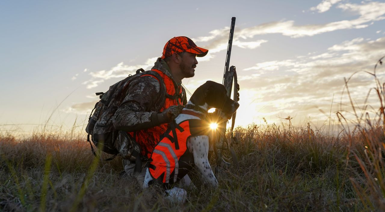 11 things about training a hunting dog that first-time owners always ...
