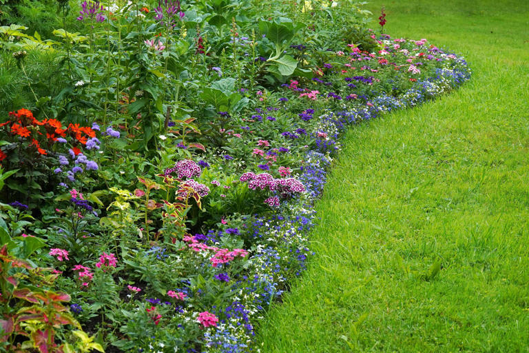 How to plant a living garden border—and never use plastic edging again