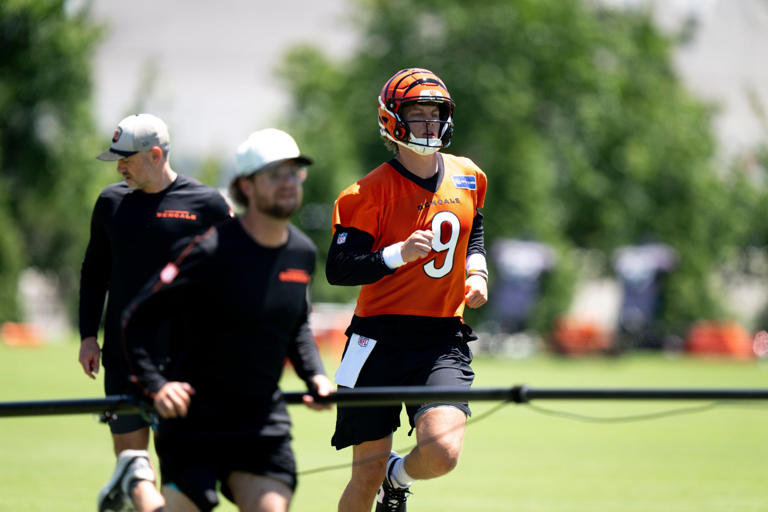 Win the AFC North: NFL insider reveals Cincinnati Bengals best-case ...