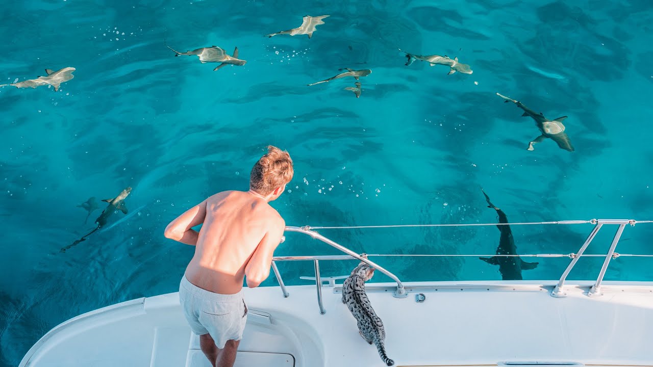 Discovering the magic of Fakarava's reefs