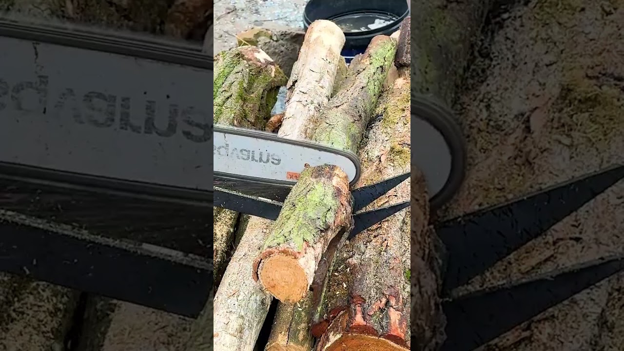The ultimate chainsaw upgrade you need!