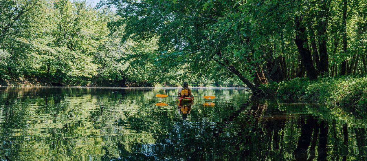 Fredericton hopes to attract recreational paddlers, tourists with new ...