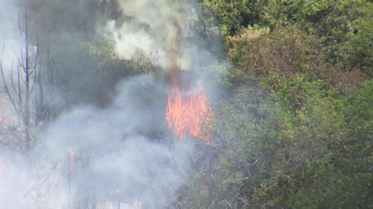 Small brush fire sparks at Memory Grove near State Capitol