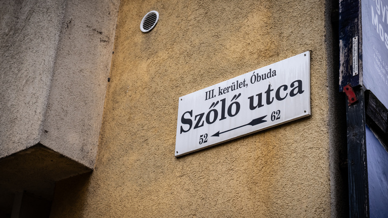 Pont kerülhet a Zsolti bácsi-ügy végére, megszólalt Bangó Sándor nevelője