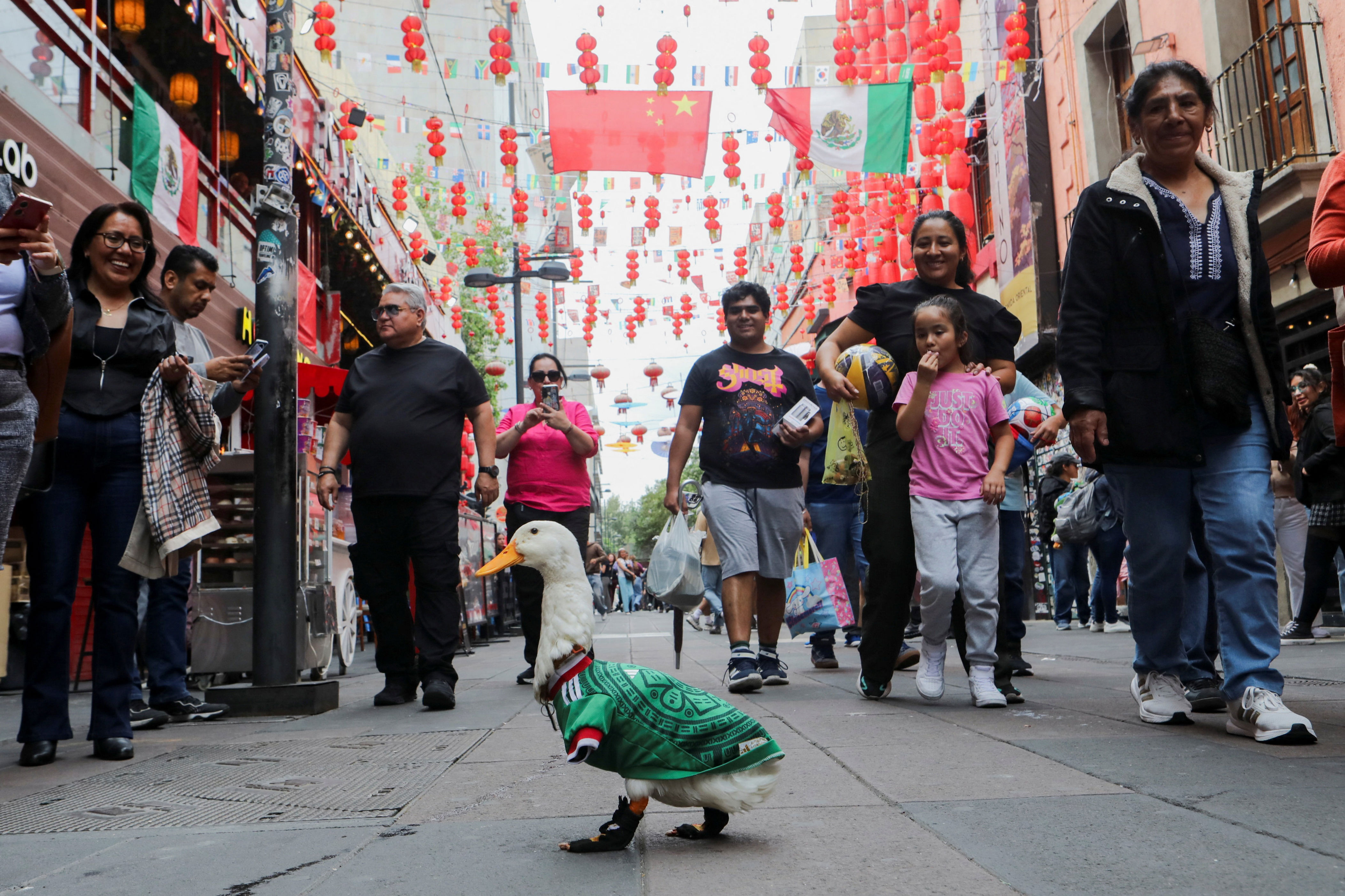 Meet Merlin, the viral Mexican duck taking the World Cup by storm
