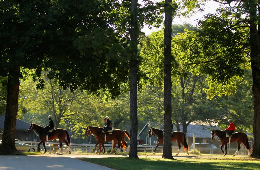 NYS Gaming Commission to start racehorse barn fire prevention review