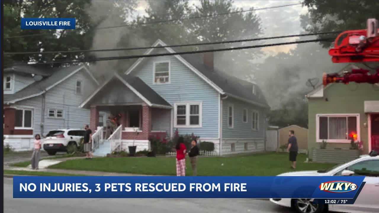 Dog dies, three other pets rescued after house fire near Churchill Downs