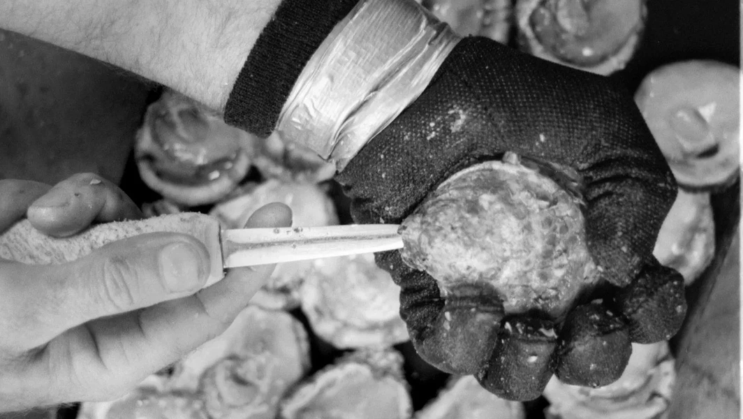Mastering safe and fresh oyster shucking