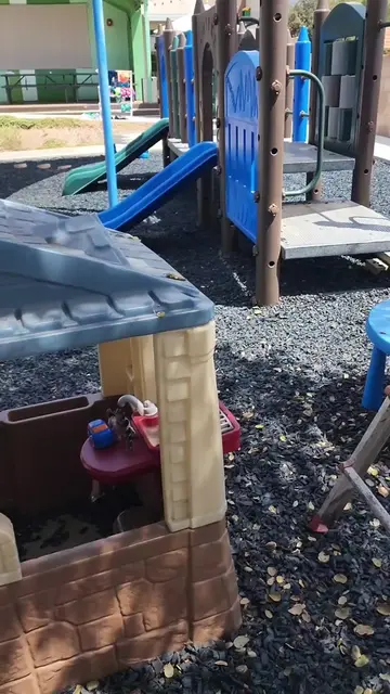 Removing a massive bee swarm from a preschool playground