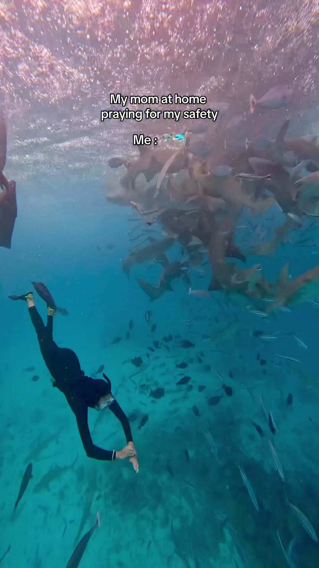 Diving with sharks in the Maldives!