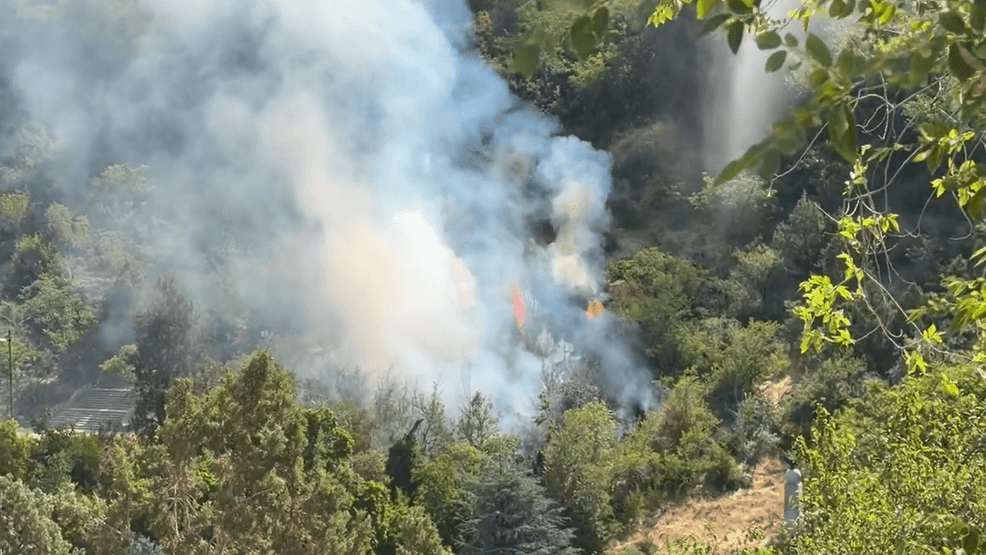 Brush fire burns half acre in Salt Lake's Memory Grove