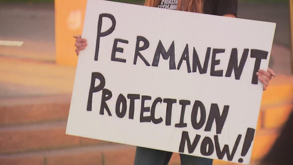Colorado US Democrats Neguse, Bennet say immigration backlog is having ...