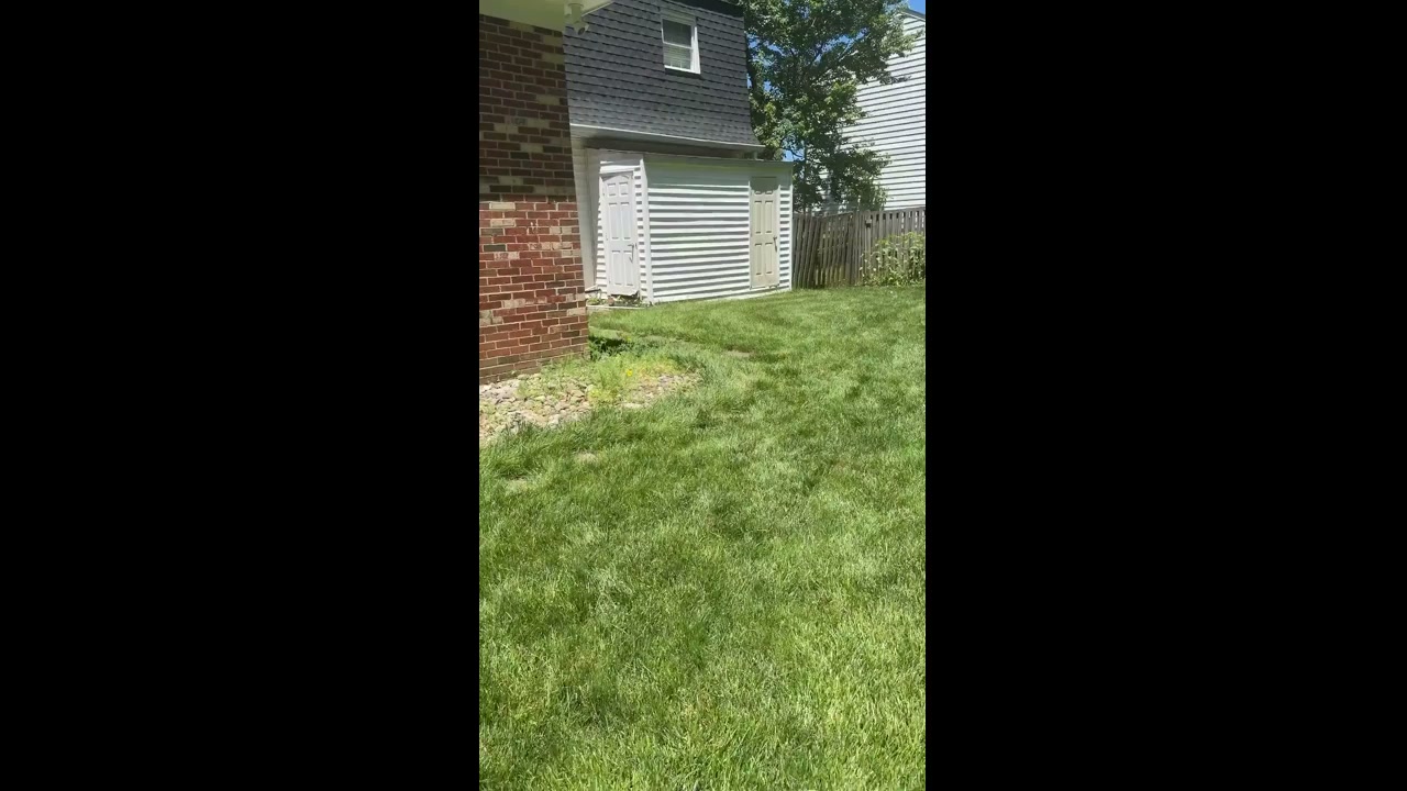 Fearless mother rabbit battles snake wrapped around her baby