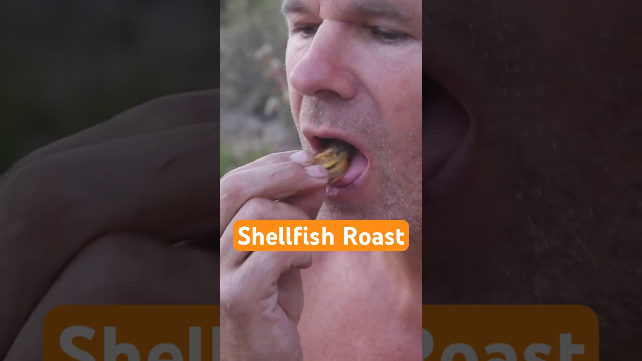 Shellfish gather and roast on hot coals