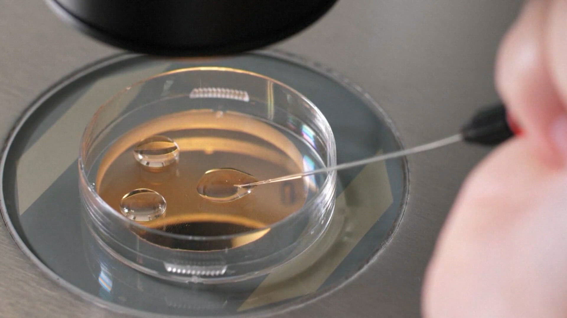 Texas GOP approves resolution in debate over IVF