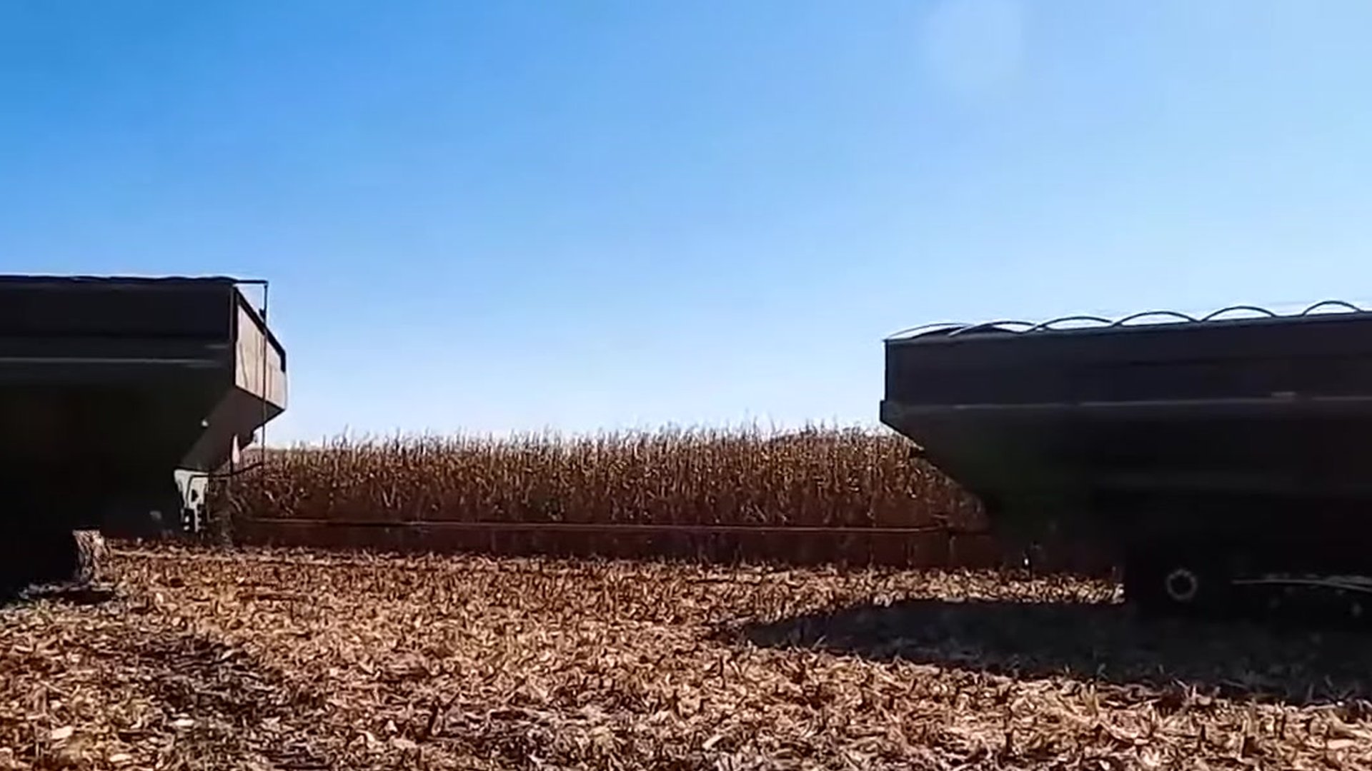 Big grain cart gets stuck in the field
