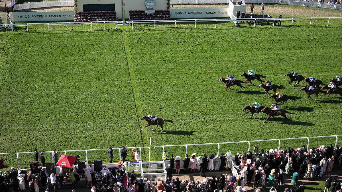Dropped girth: MyRacehorse's Bacio stays up after jockey weight inquiry ...