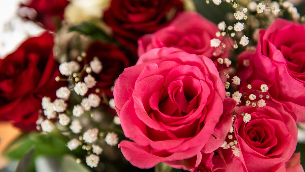 15 flowers and their traditional meanings