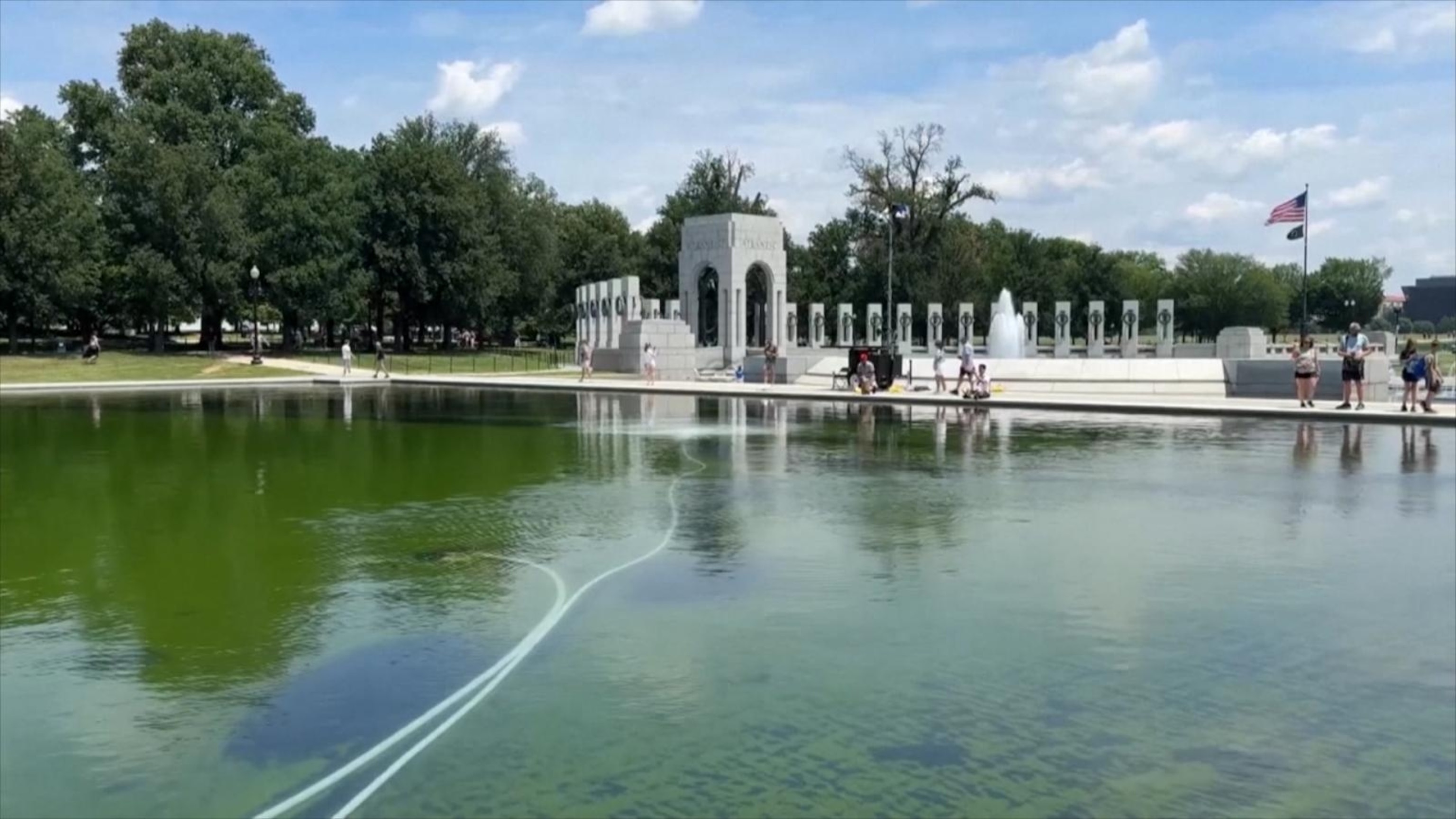 Algae problem plagues Reflecting Pool in DC