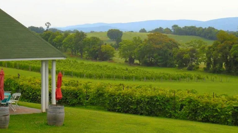 8 breathtaking Virginia wineries that feel straight out of Napa Valley