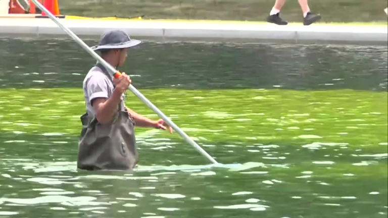 Reflecting Pool looks 'like vomit,' visitors say; crews continue ...