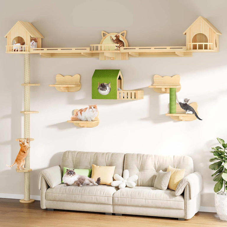 Amazon’s clever cat wall shelf system turns any room into a playground