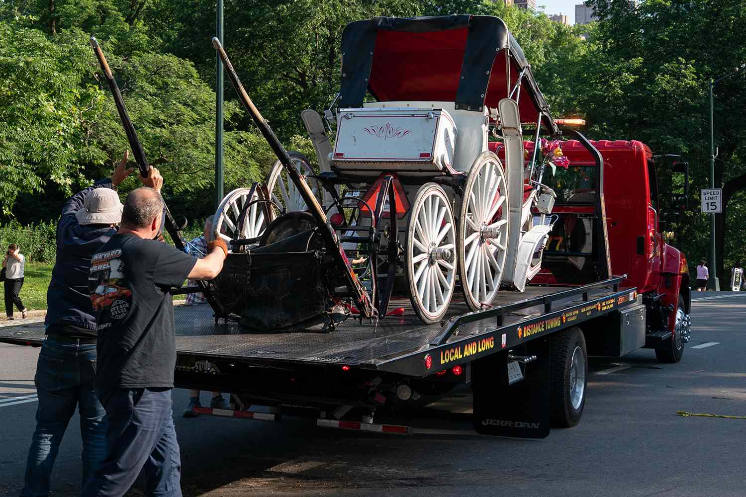Central Park horse carriage rides paused after death of 18-year-old tourist