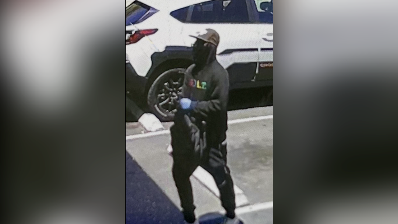 Petaluma police seek smash-and-grab robber who targeted jewelry store