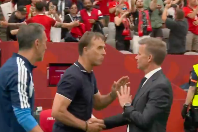 Lip reader works out argument that left World Cup coach in disgust ...