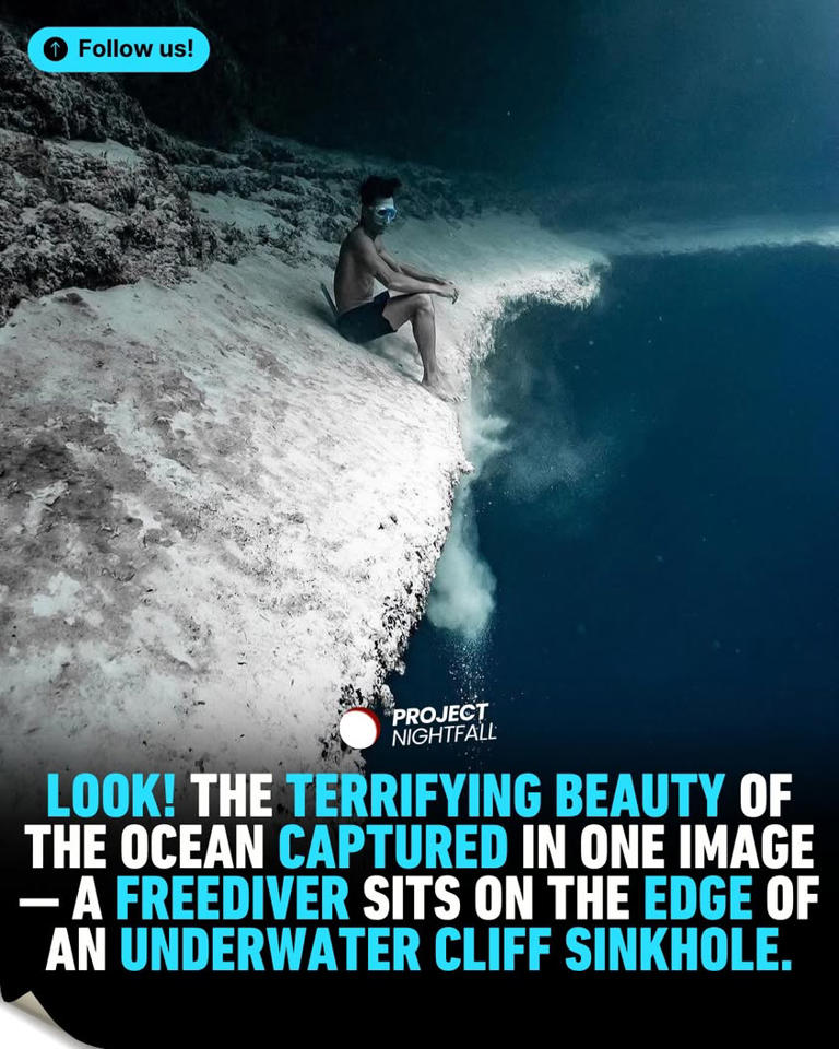 Stomach-dropping viral photo: Freediver confronts ocean's terrifying ...