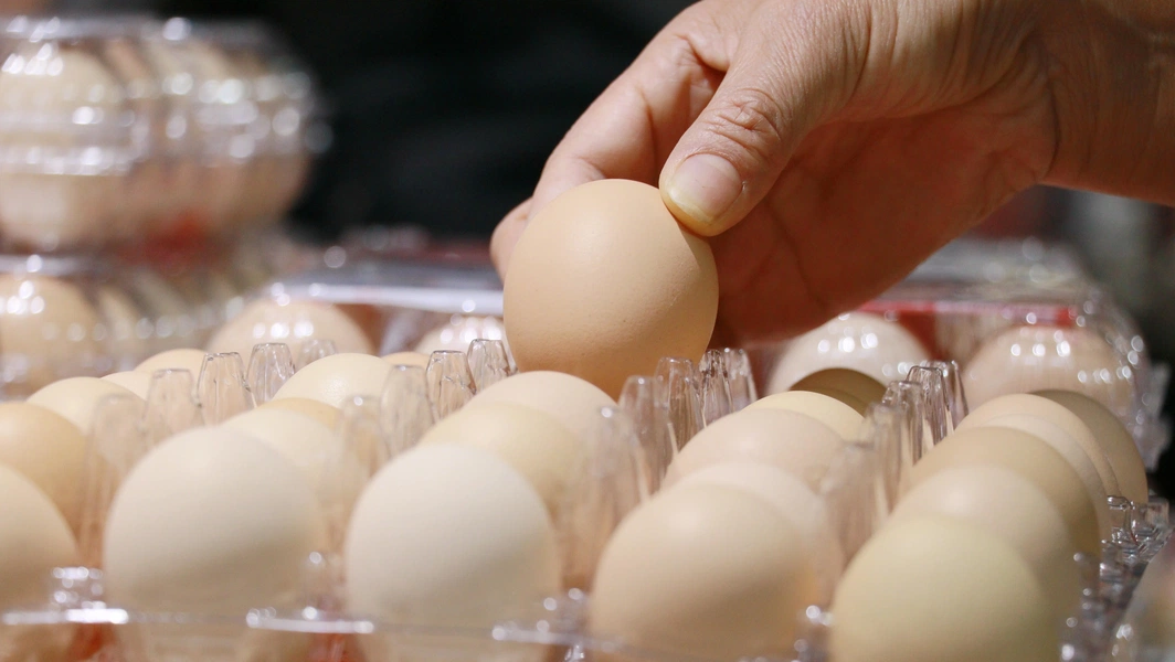 Understanding eggs from shell to table