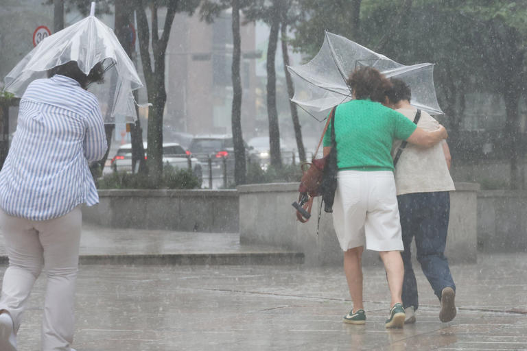 Heavy rain causes fallen trees, vehicle accidents nationwide