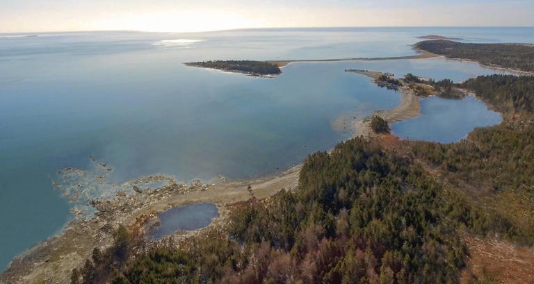 Nova Scotia's Whale Sanctuary Project breaks ground but Crown lease ...