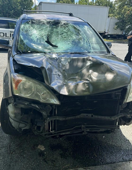 Man arrested at airport in New Jersey after hit-and-run in Gaithersburg