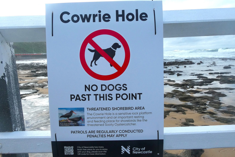 Aussies ignore $330 fine warning signs at Aussie beach: 'We're locals'