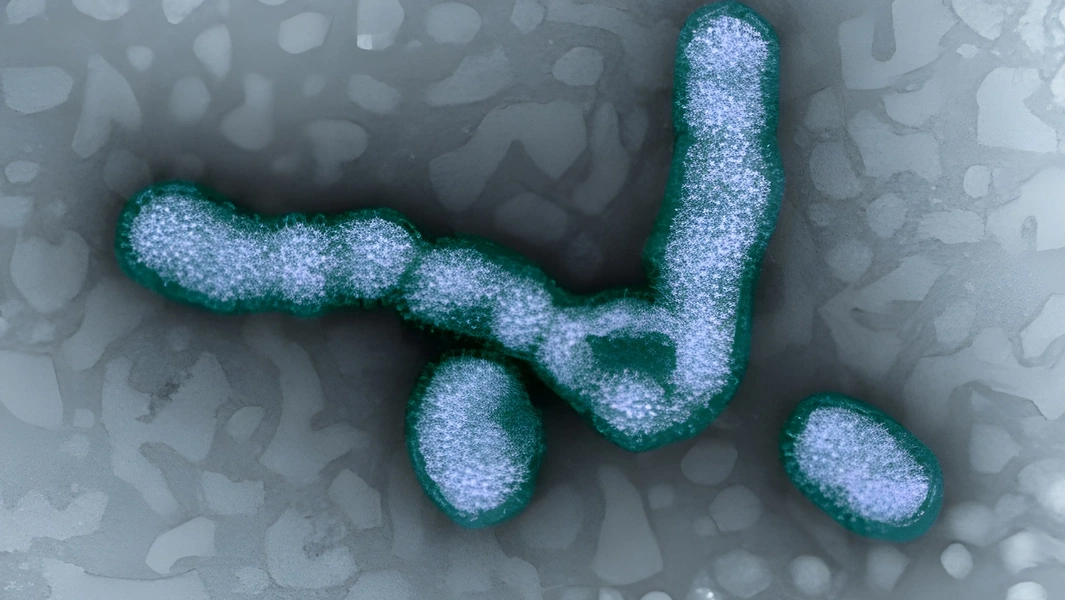 Advances in influenza prevention and treatment