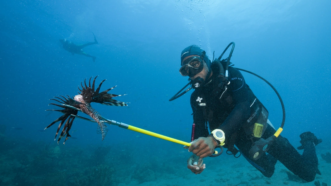 Invasive species reshaping US aquatic ecosystems