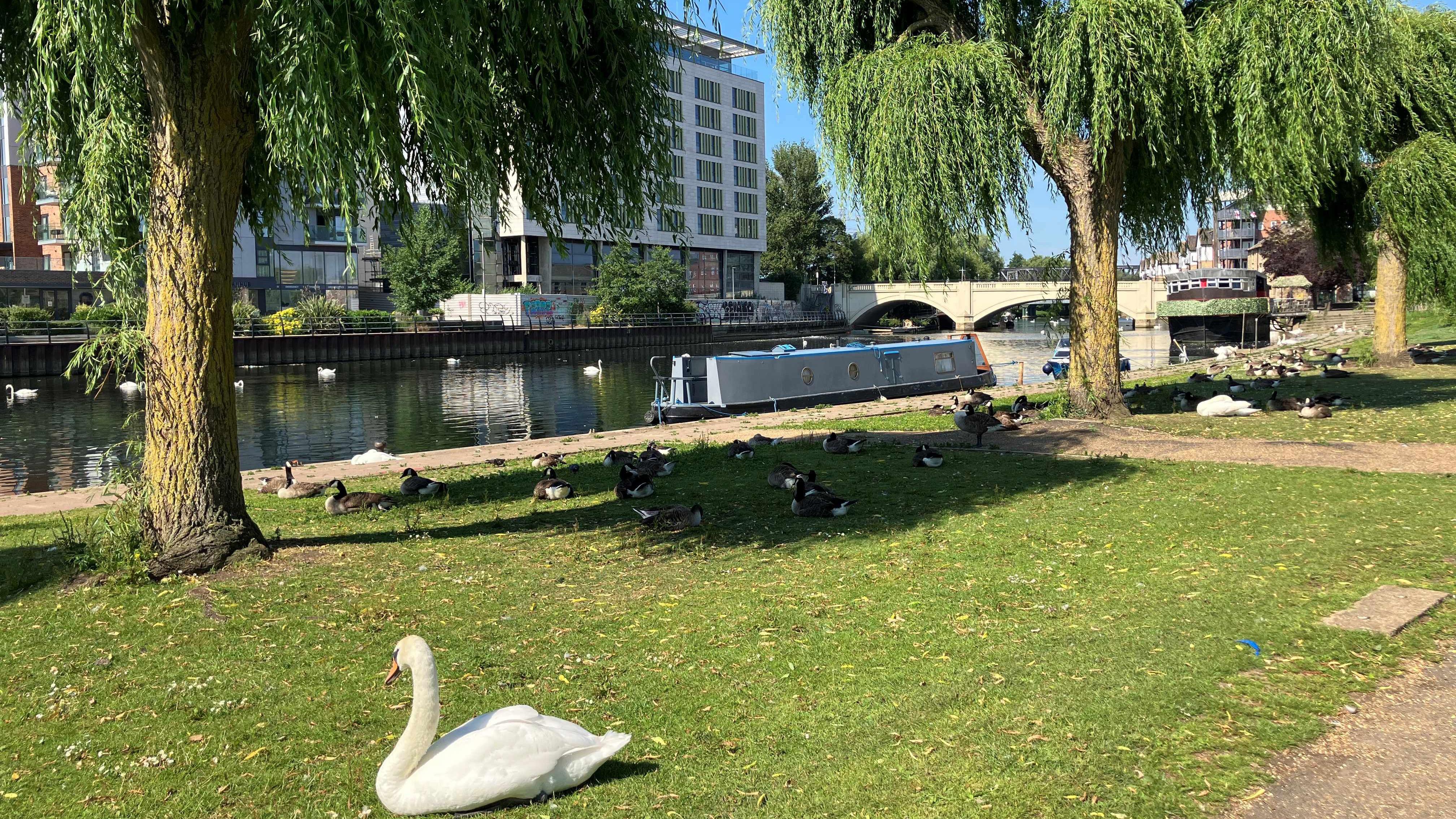 Man's body recovered from River Nene in city
