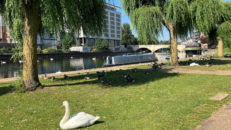 Construction starts on £8.3m river footbridge