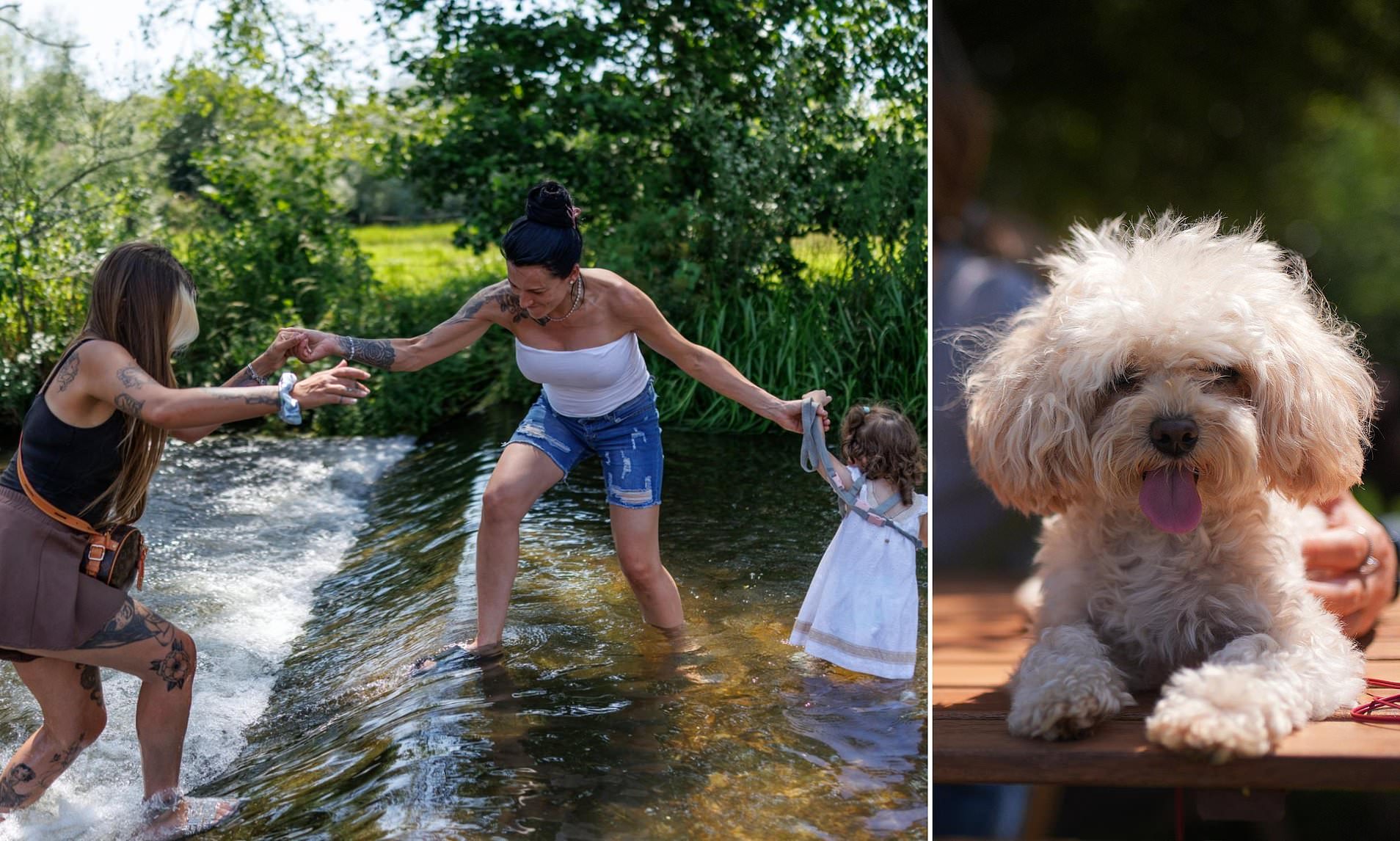 UK set for hottest June day ever as Met Office predicts official ...