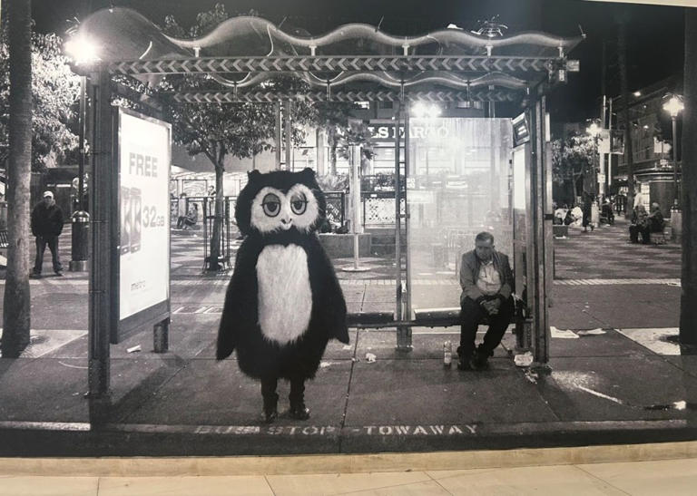 SF Public Library showcases 25 years of 'Hamburger Eyes' street photography