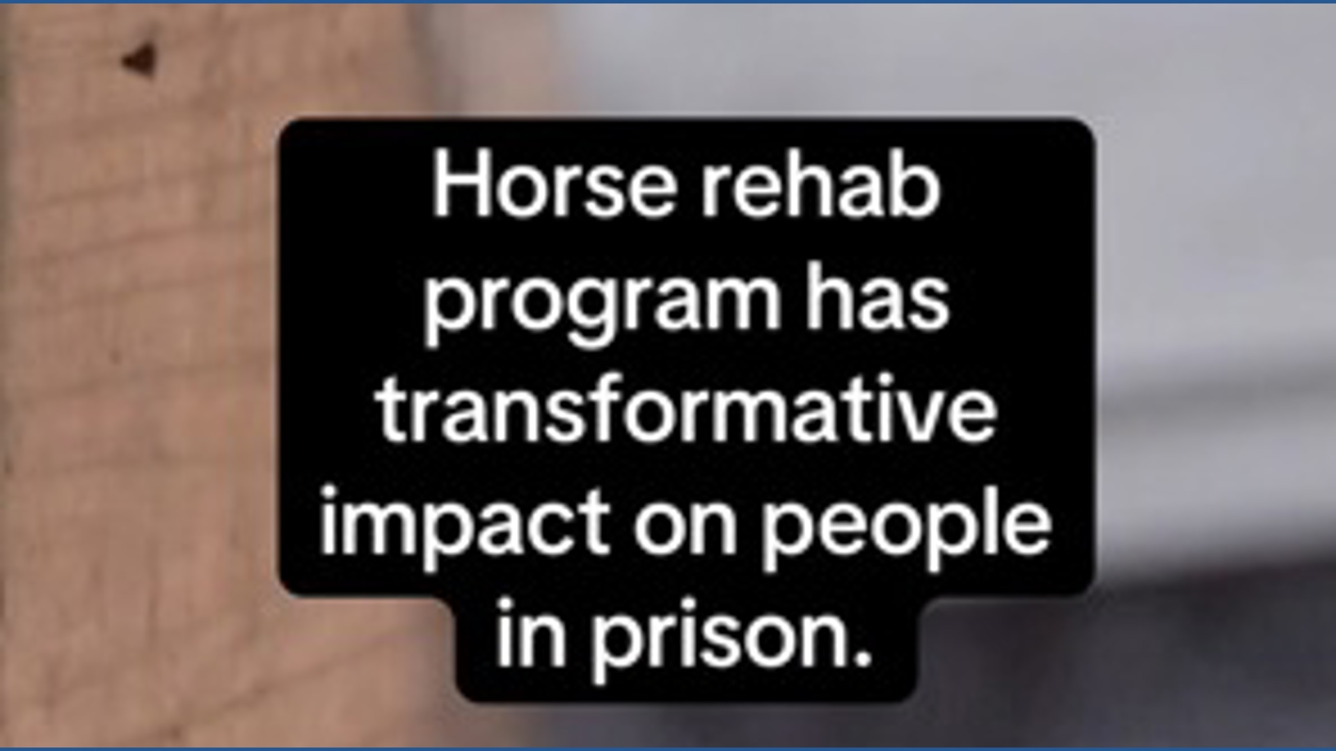 Horse rehab program has transformative impact on people in prison
