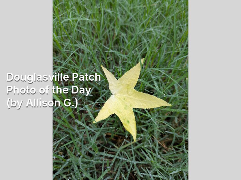 🌱 Patch AM: How Douglasville survivors celebrated strength and hope ...