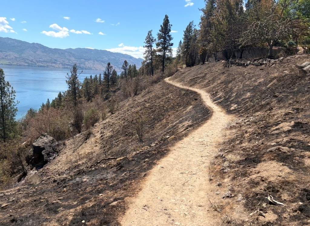 Suspected illegal campfire blamed for Kalamoir Park wildfire as safety ...