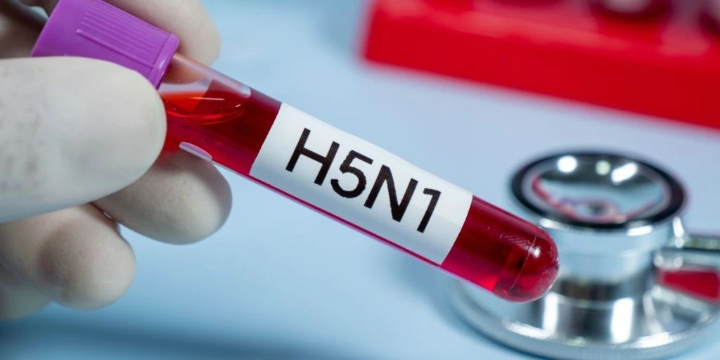 Officials reveal new defense plan as bird flu outbreak hits Australia