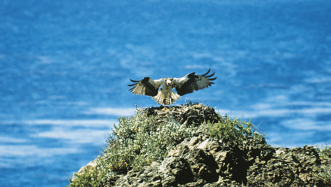 Exploring Cape San Blas’ natural and cultural treasures