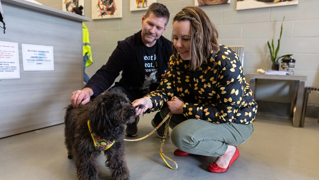 7 inspiring dog-focused careers and businesses