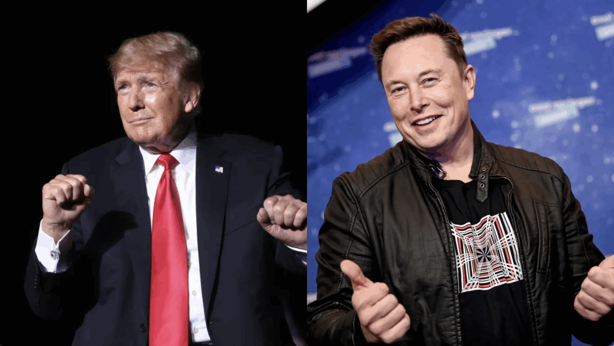 Trump handed Elon Musk’s SpaceX 700 acres of endangered wildlife refuge ...